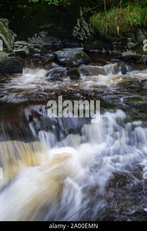 Waterfalls at Routin Bridge Wood. Irongray, Dumfries and Galloway ...