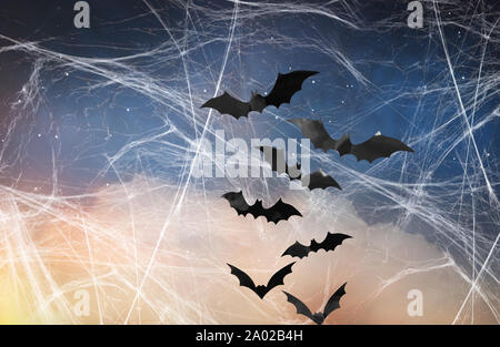 black bats over starry night sky and spiderweb Stock Photo - Alamy