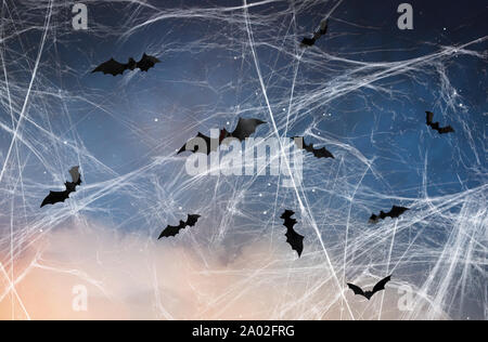 black bats over starry night sky and spiderweb Stock Photo - Alamy
