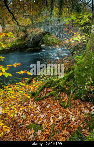 Clappersgate Bridge, Ambleside, Lake District in autumn Stock Photo - Alamy