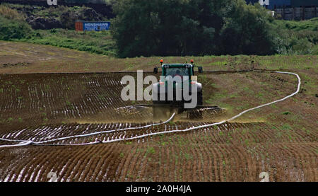 A John Deere tractor drags a hose pipe carrying cattle muck slurry ...