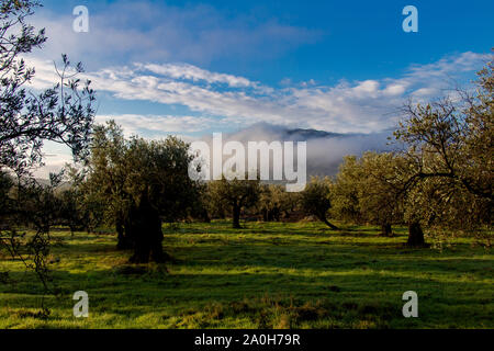 sunset at Atlit beach, Israel Stock Photo - Alamy