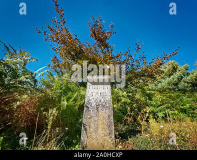 Site of The Tubney Tree Stock Photo - Alamy