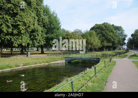 New River, Broxbourne, Hertfordshire Stock Photo - Alamy