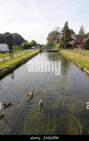 New River, Broxbourne, Hertfordshire Stock Photo - Alamy