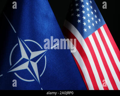 United States of America Delegation (USA), NOVEMBER 15, 2025 - Opening ...