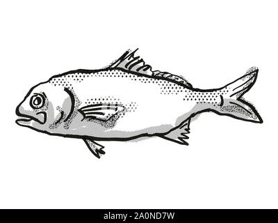 Cartoon style line drawing of a beardfish, a fish endemic to Hawaii and ...