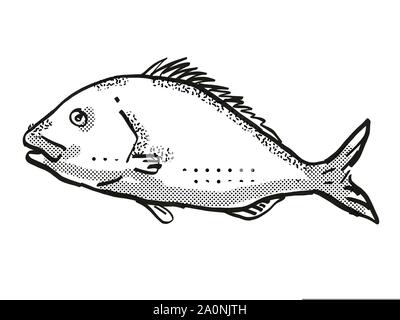 Retro cartoon style drawing of a snapper fish, a native New Zealand ...