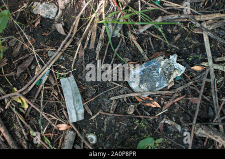 plastic waste, glass, ceramics and rubbish in the forest. Environmental ...