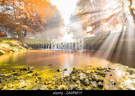 Filtered sun rays seen through tree leaves Stock Photo - Alamy