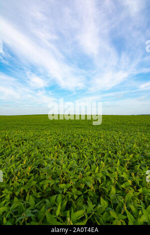 clouds over a rural American field in Iowa Stock Photo - Alamy