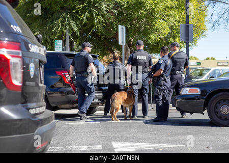 Police officers stand beside patrol vehicles on a street in central ...