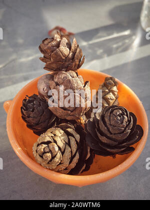 The orange container and the tree Stock Photo - Alamy