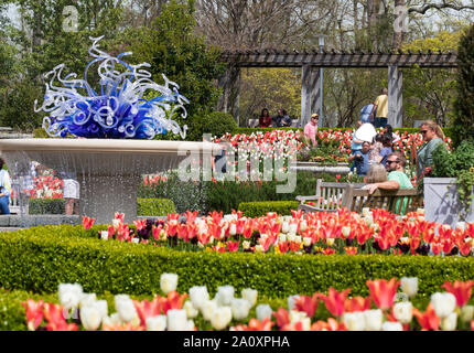Atlanta Botanical Garden's "Chihuly in the Garden" exhibit with "Fern ...