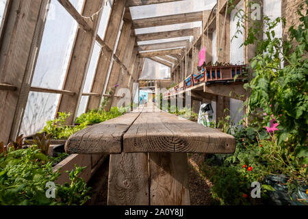 Skip Garden at Kings Cross run by charity Global Generation. Garden is ...