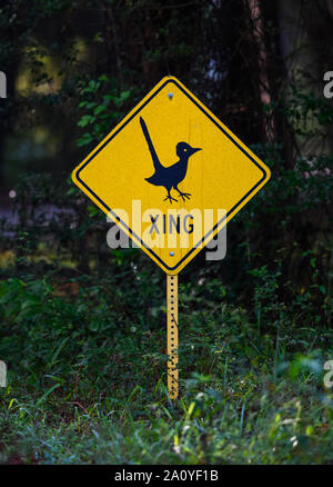 Roadrunner on a yellow wildlife crossing sign. Houston, Texas, USA ...