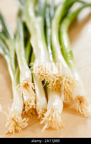 Fresh spring onions Stock Photo - Alamy