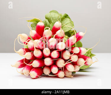 Bunch of fresh red radishes on white isolated background. CLose up ...