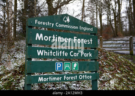 Mortimer Forest at Whitcliffe, near Ludlow Stock Photo - Alamy