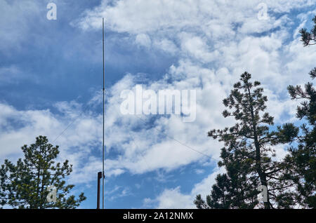 Lightning rod between coniferous tree tops against blue sky with white ...