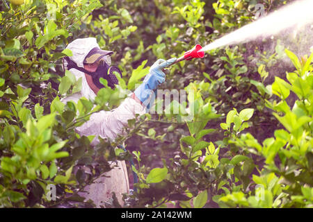 Men spray fumigation. Industrial chemical agriculture. Man spraying ...