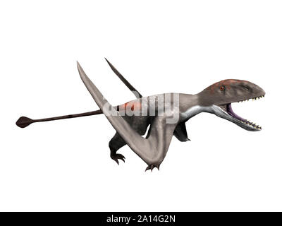 Dimorphodon macronyx, a prehistoric era pterosaur from the early ...