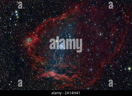 Sh2-129 Flying bat and squid nebula Stock Photo - Alamy