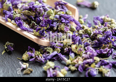 Dry Mallow Flower for Infusion Stock Photo - Alamy