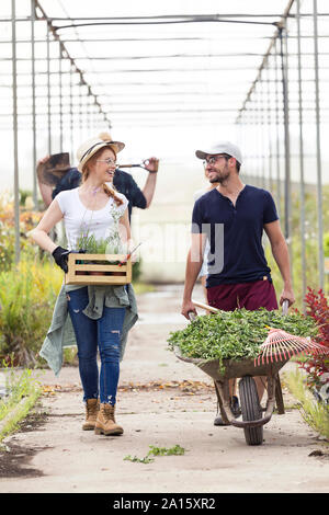 Wheelbarrow with plants in at nursery Stock Photo - Alamy