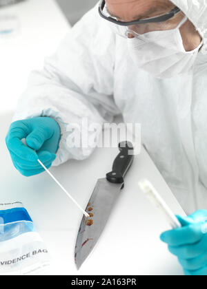 Forensic scientist taking DNA evidence from a blood smeared knife Stock ...