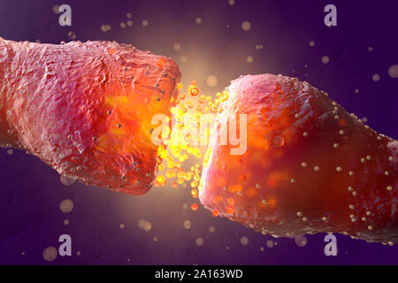 Synaptic Cleft 3d
