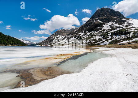 A scenic view of a lake in a forest surrounded by wild green nature in ...