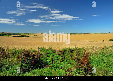 A rural gateway on a summer's day in the English countryside Stock ...