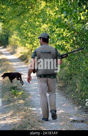 Hunter man holding a shotgun while hunting with his dogs outdoors in ...