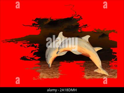 Dolphins jumping over ocean Stock Photo - Alamy