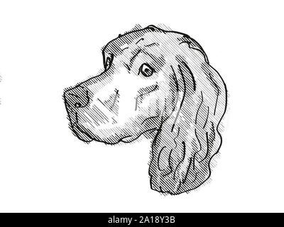 Gordon Setter Dog Breed Cartoon Retro Drawing Stock Photo - Alamy