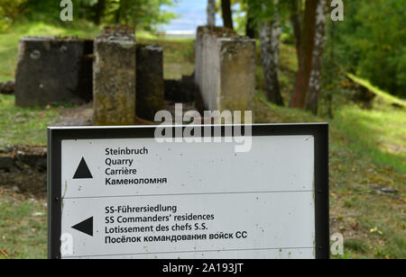 SS FORCED TO CARRY CONCENTRATION CAMP VICTIMS : 1945 Stock Photo - Alamy