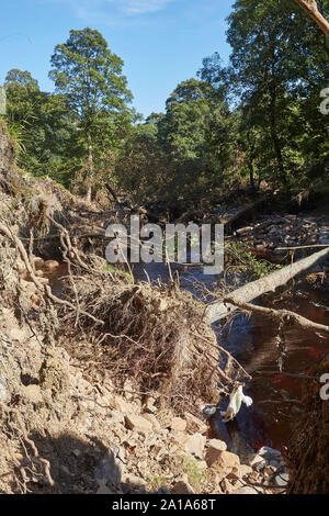 Flood dange to the banks of Arkle Beck, River Swale following a flash ...