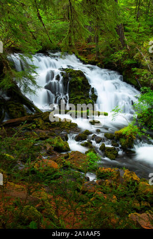 Pearsony Falls, Rogue Wild and Scenic River, Prospect State Scenic ...
