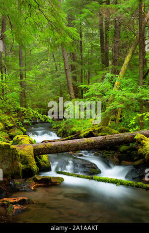 Mill Creek, Rogue Wild and Scenic River, Prospect State Scenic ...