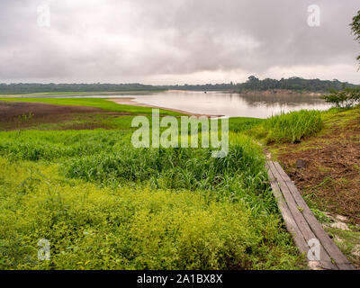 Javari River, the tributary of the Amazon River during low water season ...