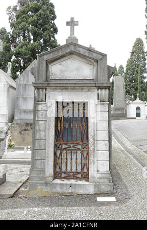A vintage creepy stone burial vault covered in vines with a dramatic ...