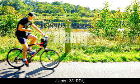 Cyclist riding on the Guild Wheel trail in Preston Stock Photo - Alamy