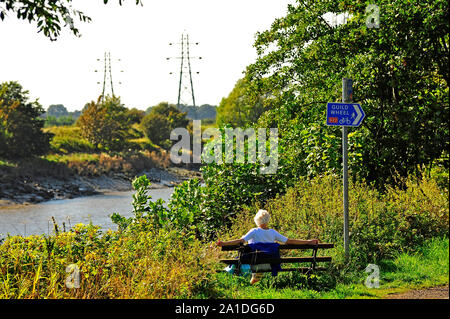 Bench overlooking electricity pylons and the river Test at Eling ...