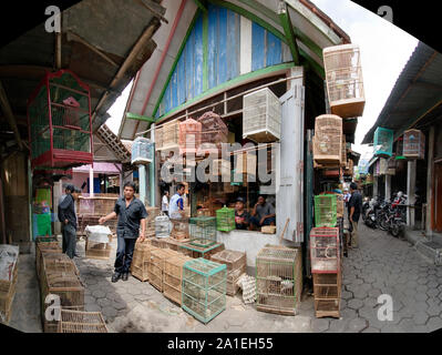 Pasar Burung, NGASEM, Bird Market, Yogyakarta, Java, Indonesia Stock ...