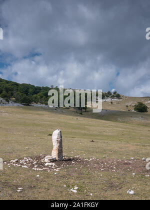 beech forest in the basque country on mount urkiola in the province of ...