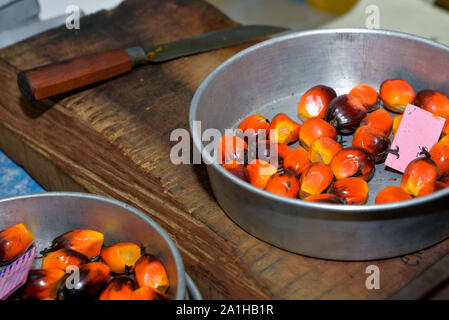 the process and the tools of bunch analysis lab for oil palm industry ...