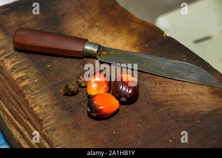 the process and the tools of bunch analysis lab for oil palm industry ...