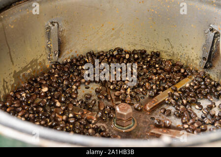 Oil palm nuts in a depulper machine after the depulper process complete ...
