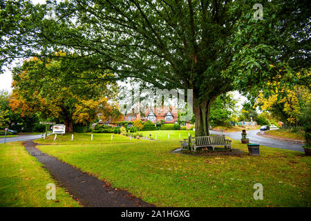 Ancient Anglo-Saxon village of Sedlescombe, East Sussex, England Stock ...